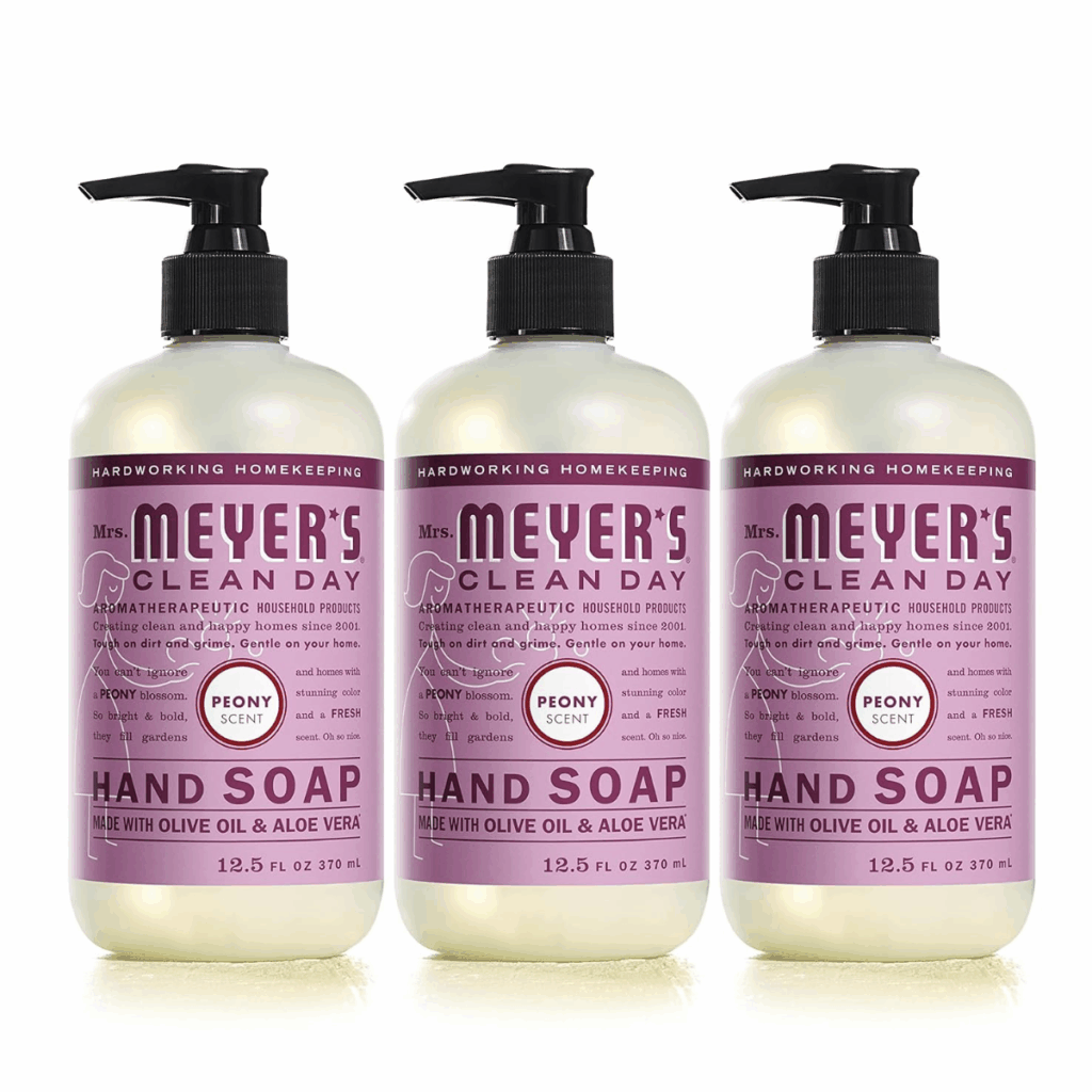 Pack of 3 Hand Soap $6 + | Succulent Air Freshener $6+ | Toilet Bowl ...
