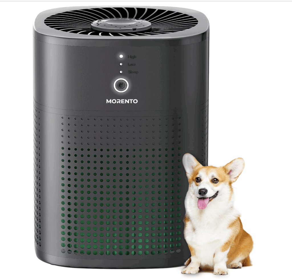 Electric spin scrubber $14+| Air purifier $19+ | Smart Savers