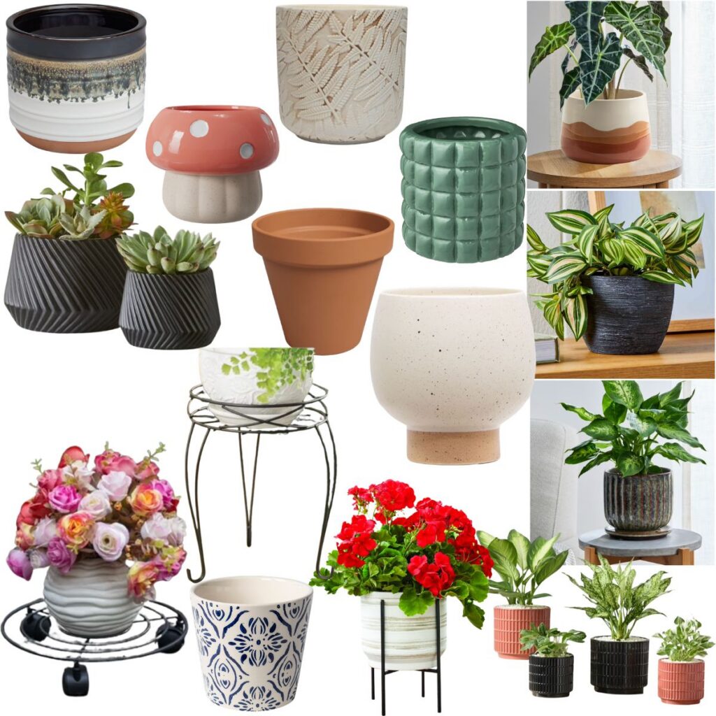 Planters from $1+ | Plant stands from $4+ | Smart Savers