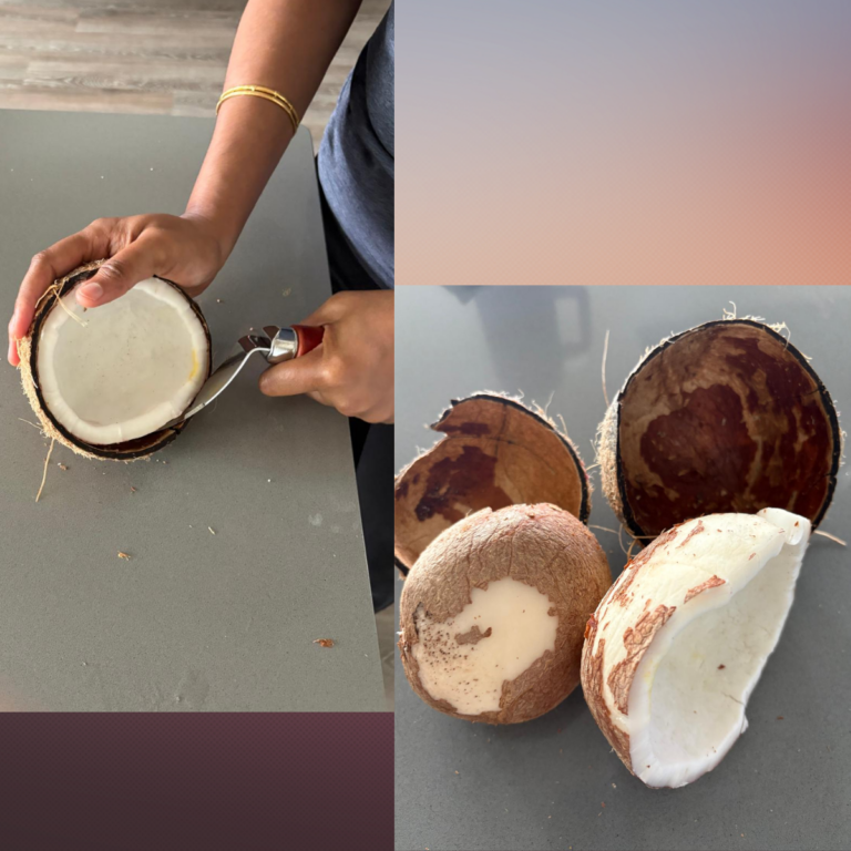 Most Useful Kitchen Tool - Stainless Steel Coconut Scraper $9+ | Smart ...
