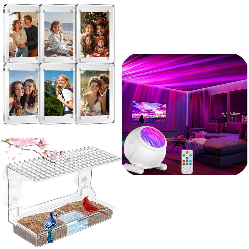 6-pk Magnetic Photo Frames | Window bird feeder $7+ | Northern Lights ...