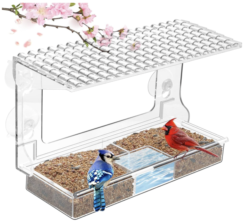 6-pk Magnetic Photo Frames | Window bird feeder $7+ | Northern Lights ...